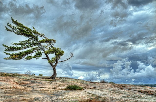 Iravunk.com | ՇՏԱՊ. Սպասվում է քամու ուժգնացում