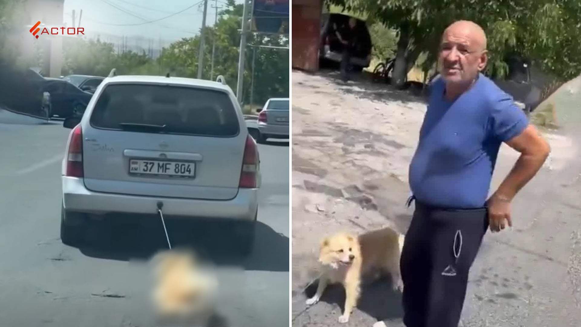 Iravunk.com | Շան նկատմամբ դաժան վերաբերմունքի համար 62-ամյա տղամարդուն սպառնում է առավելագույնը ...