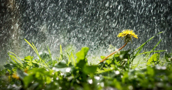 Iravunk.com | Օդի ջերմաստիճանը աստիճանաբար կնվազի 2-3 աստիճանով